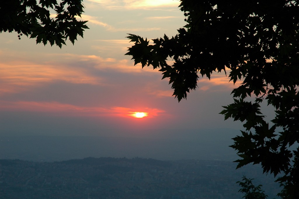 Tarihi İnkaya Çınarı / İnkaya Çınarı / Ulu Çınar hakkında
