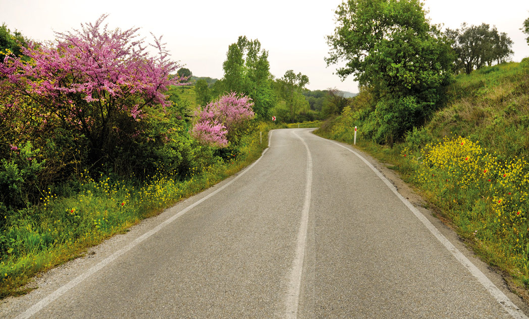 Antik masal diyarı: Tirilye / gezilecek yerler / ne yenir / tarihi